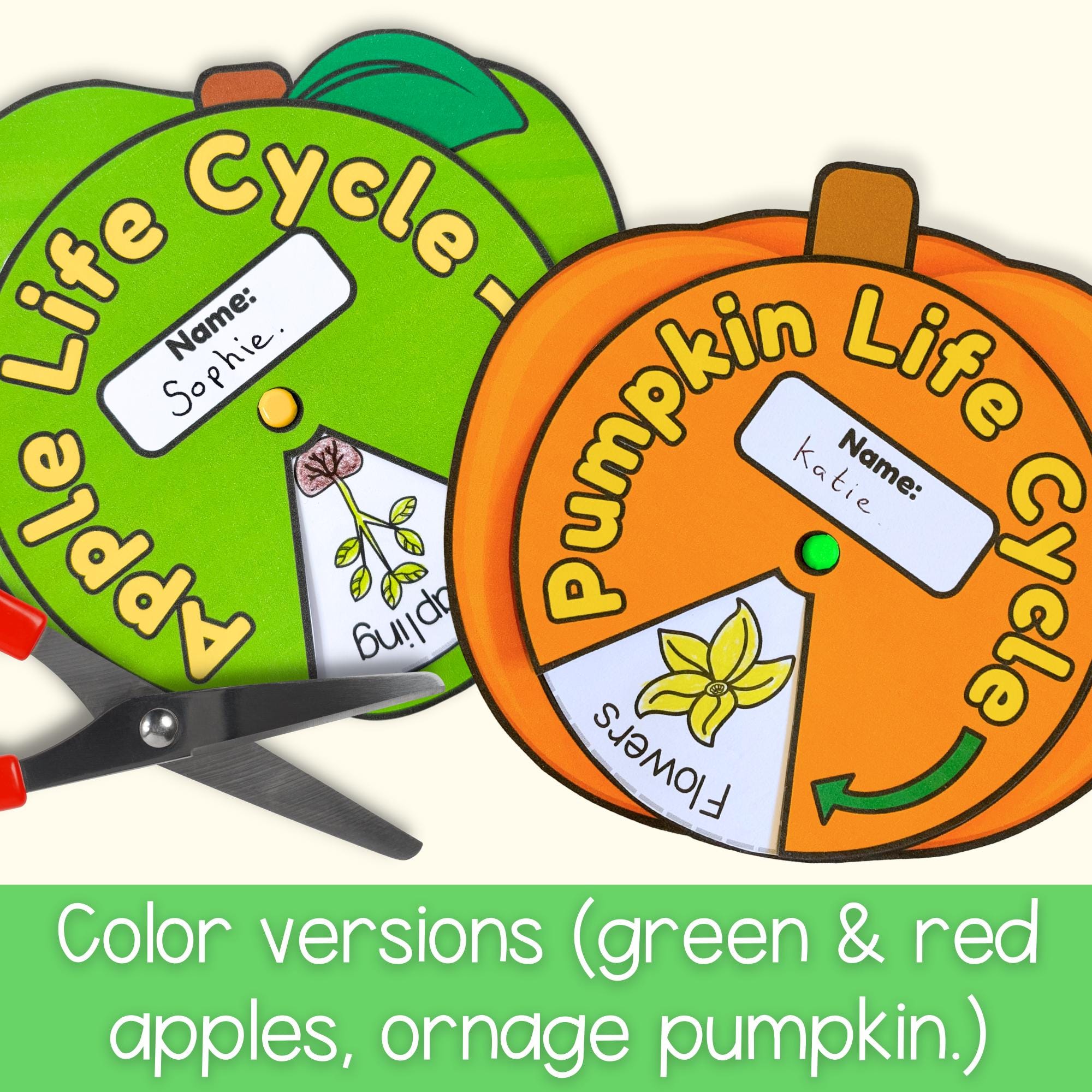 Pumpkin and Apple Tree Plant Life Cycle Spinner Wheels Autumn Fall ...