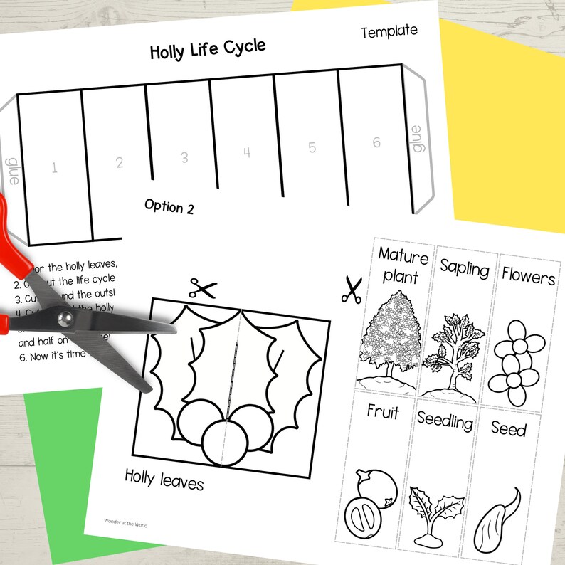Winter Plant and Animal Life Cycles Cut and Paste Foldable Sequencing ...