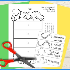 Earthworm Life Cycle Sequence and Fold Science Craft Activity | 11x8.5 ...