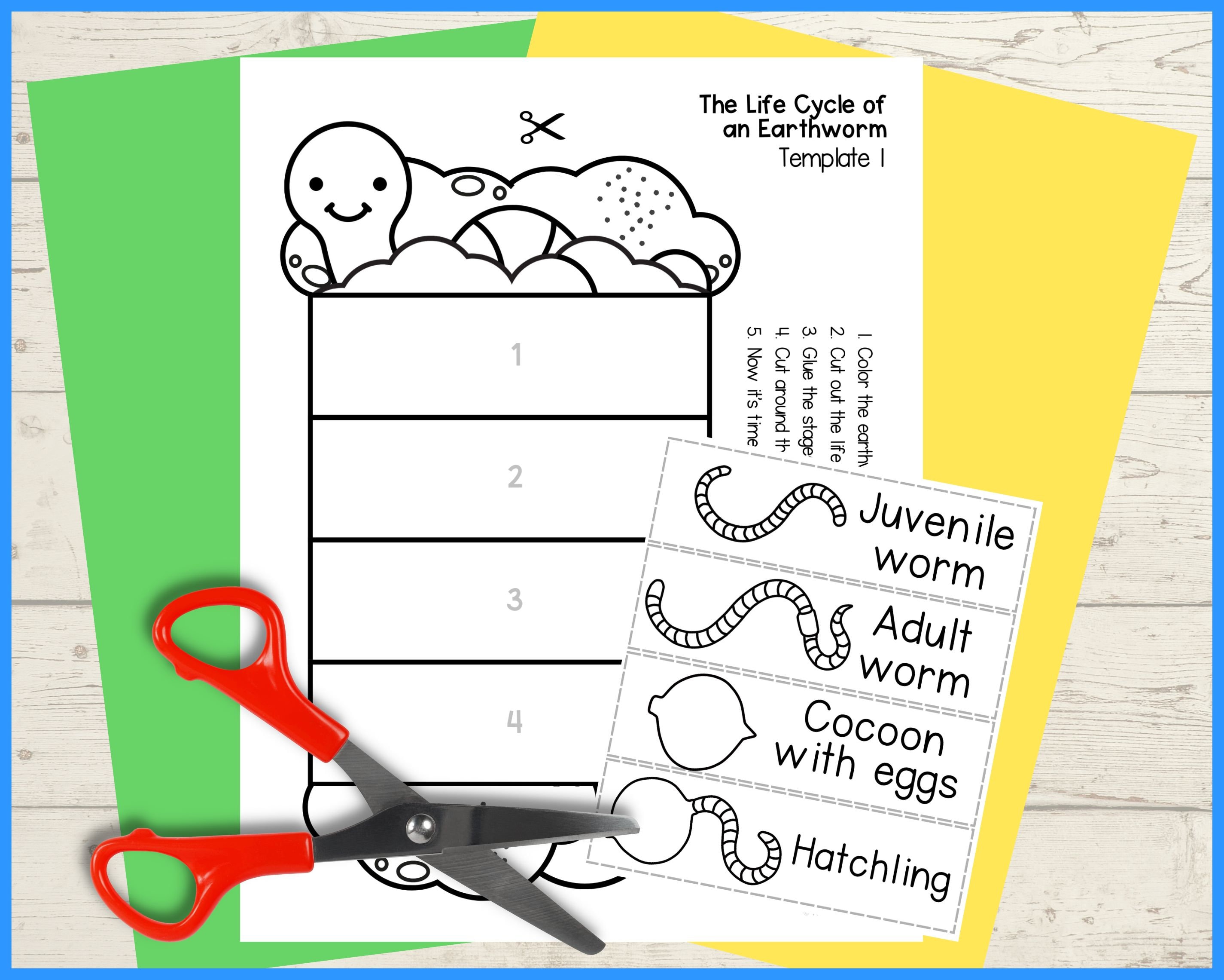 Earthworm Life Cycle Foldable Science Craft Activity | 11x8.5 Inch and ...