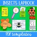 Insect Bugs Foldable Printable Lapbook Templates Digital Download Kids ...