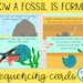 How a Fossil is Formed Printable Sequencing Activity for Kids | A4 and ...
