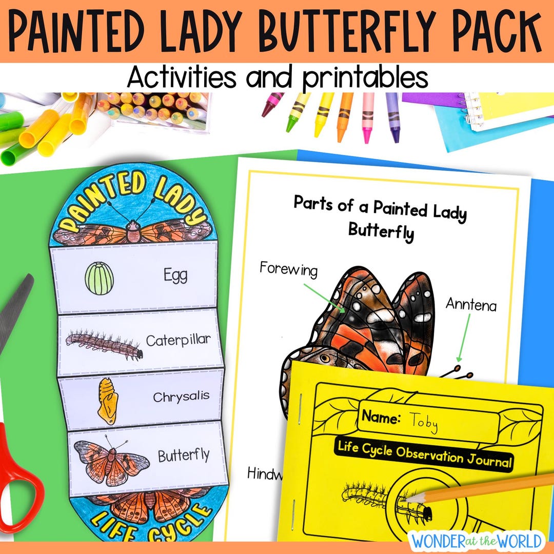 Painted Lady Butterfly & Caterpillar Printables Life Cycle, Observation ...