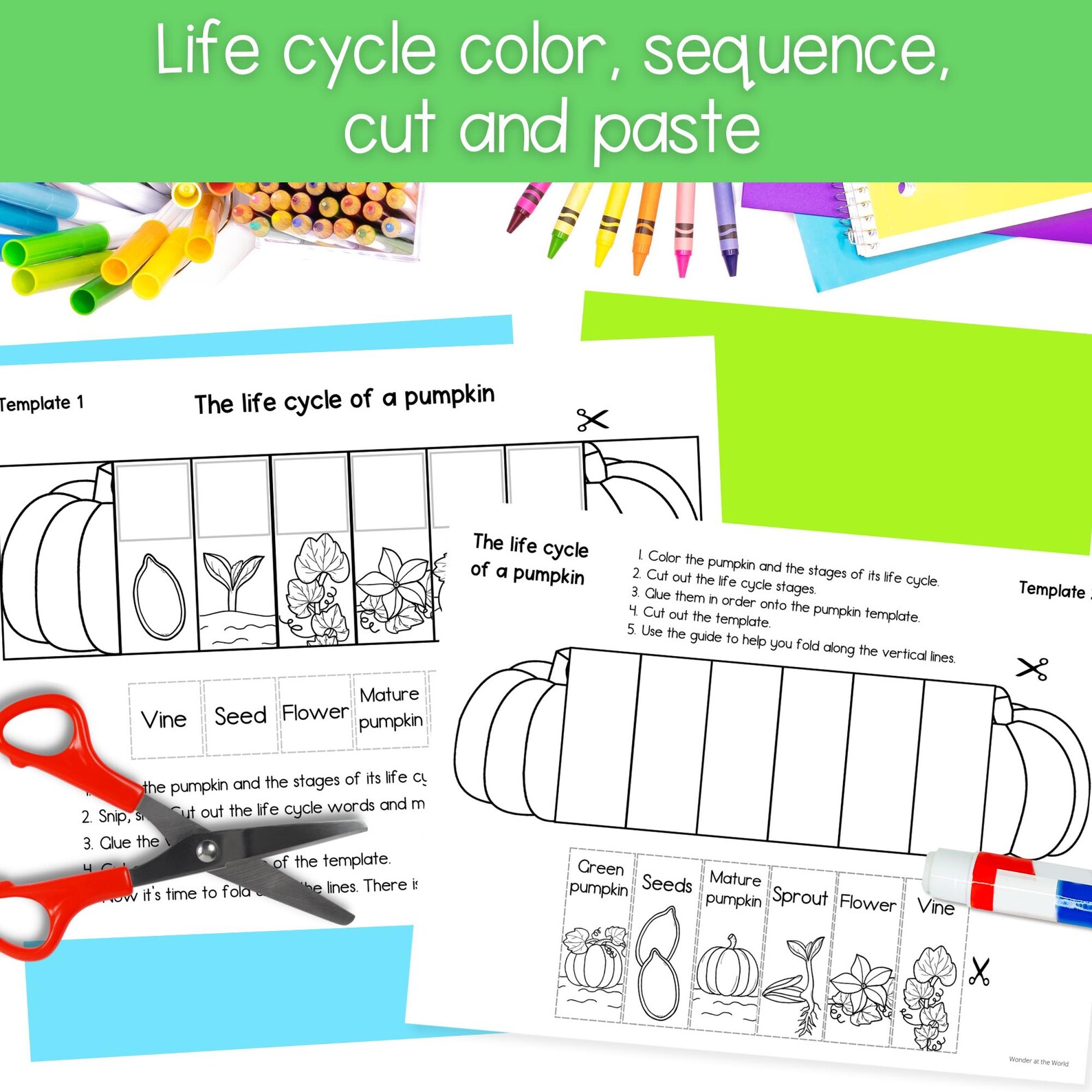 Life Cycle of a Pumpkin and How to Make a Jack O'lantern Foldout ...