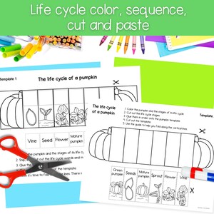 Life Cycle of a Pumpkin and How to Make a Jack O'lantern Foldout ...