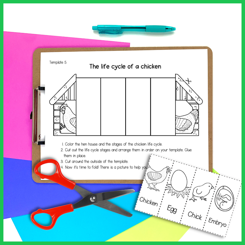 Life Cycles Foldable Science Cut and Paste Activities Butterfly Bean ...