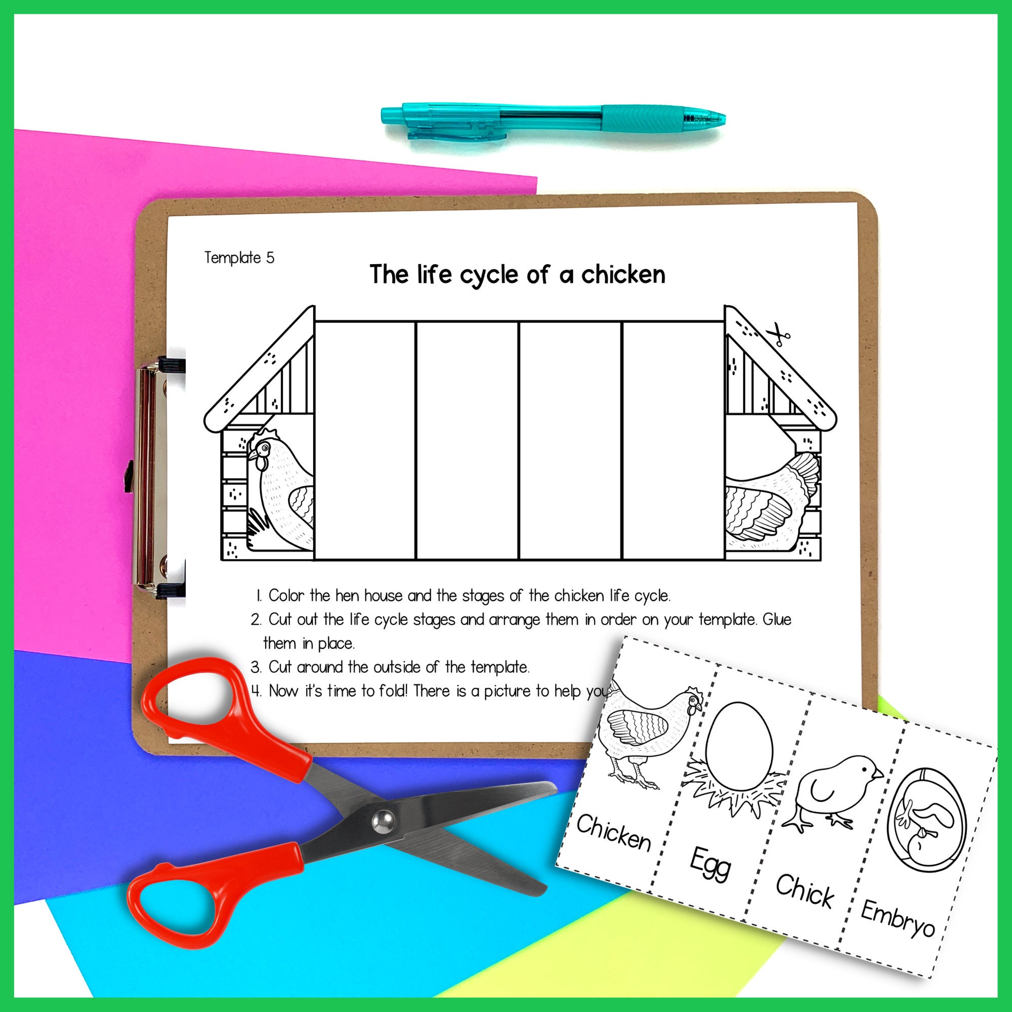 Life Cycles Foldable Science Cut and Paste Activities Butterfly Bean ...