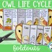 Life Cycle of an Owl Foldable Kids' Science Craft Printable PDF A4 and ...