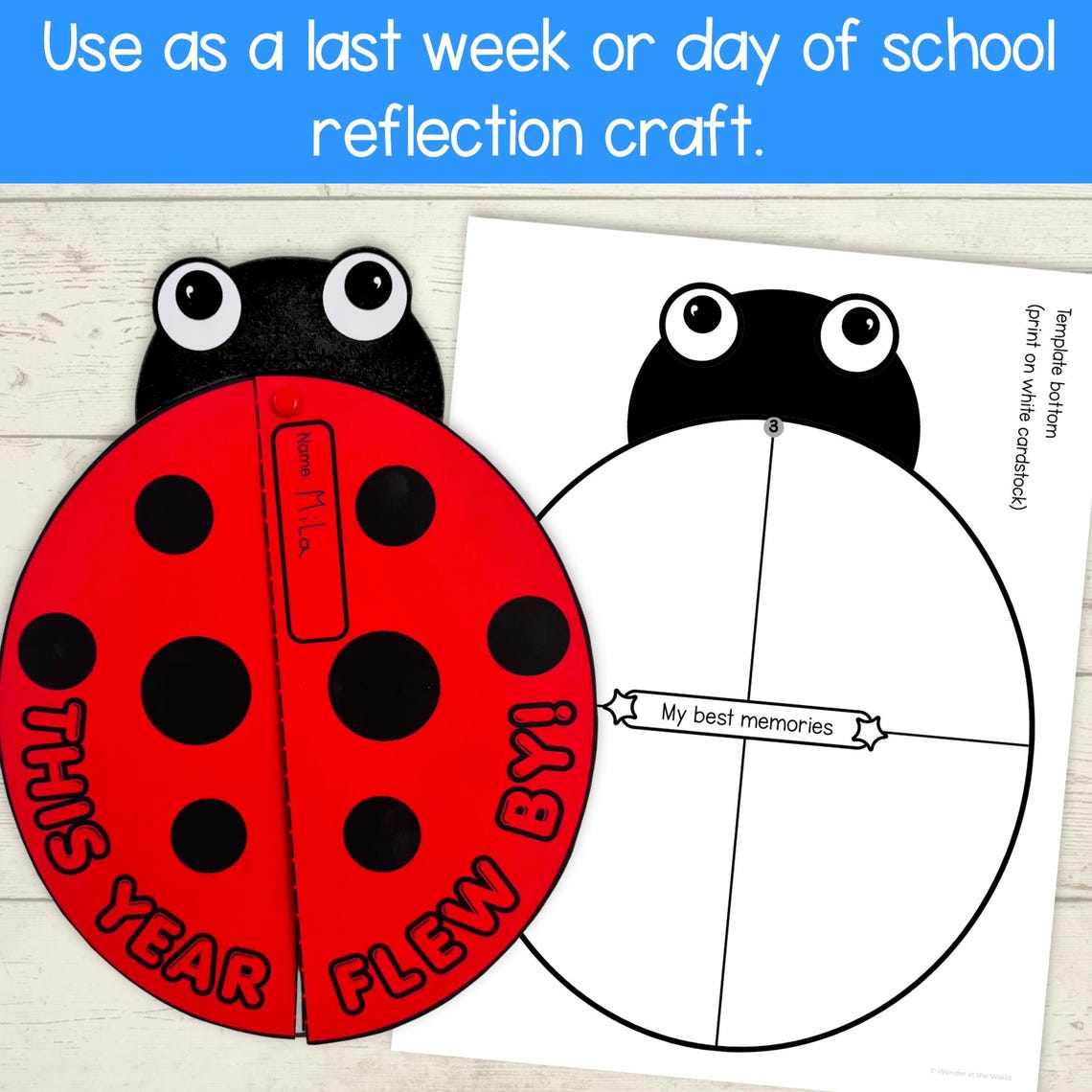 Last Day Week of School End of Year Ladybug Ladybird Reflection Memory ...