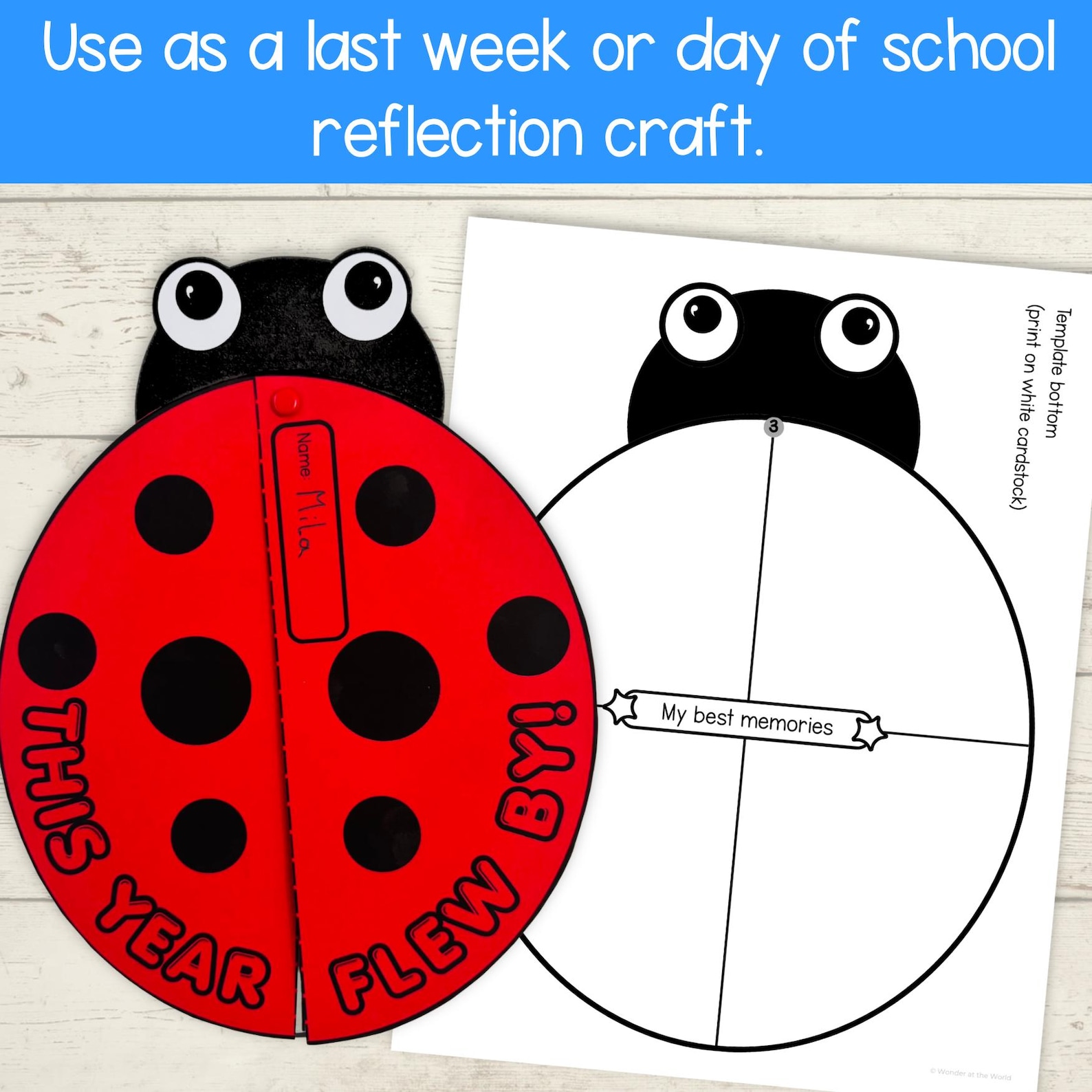 Last Day Week of School End of Year Ladybug Ladybird Reflection Memory ...