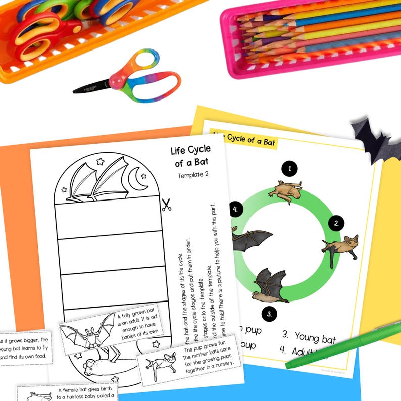Life Cycle of a Bat Mammal Sequence and Fold Science Activity for Kids ...