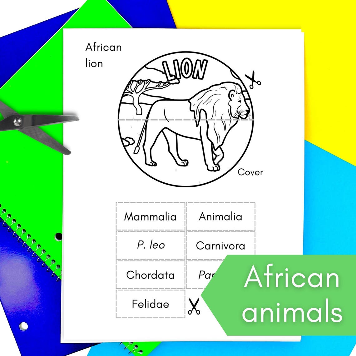 Animal Classification Taxonomy Research Cut and Paste Biology Activity ...