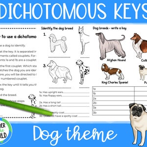 Dichotomous Keys Activities Worksheets for Elementary or Primary ...