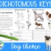 Dichotomous Keys Activities Worksheets for Elementary or Primary ...