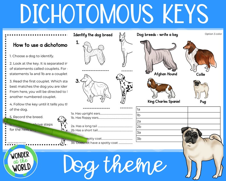 Dichotomous Keys Activities Worksheets for Elementary or Primary ...