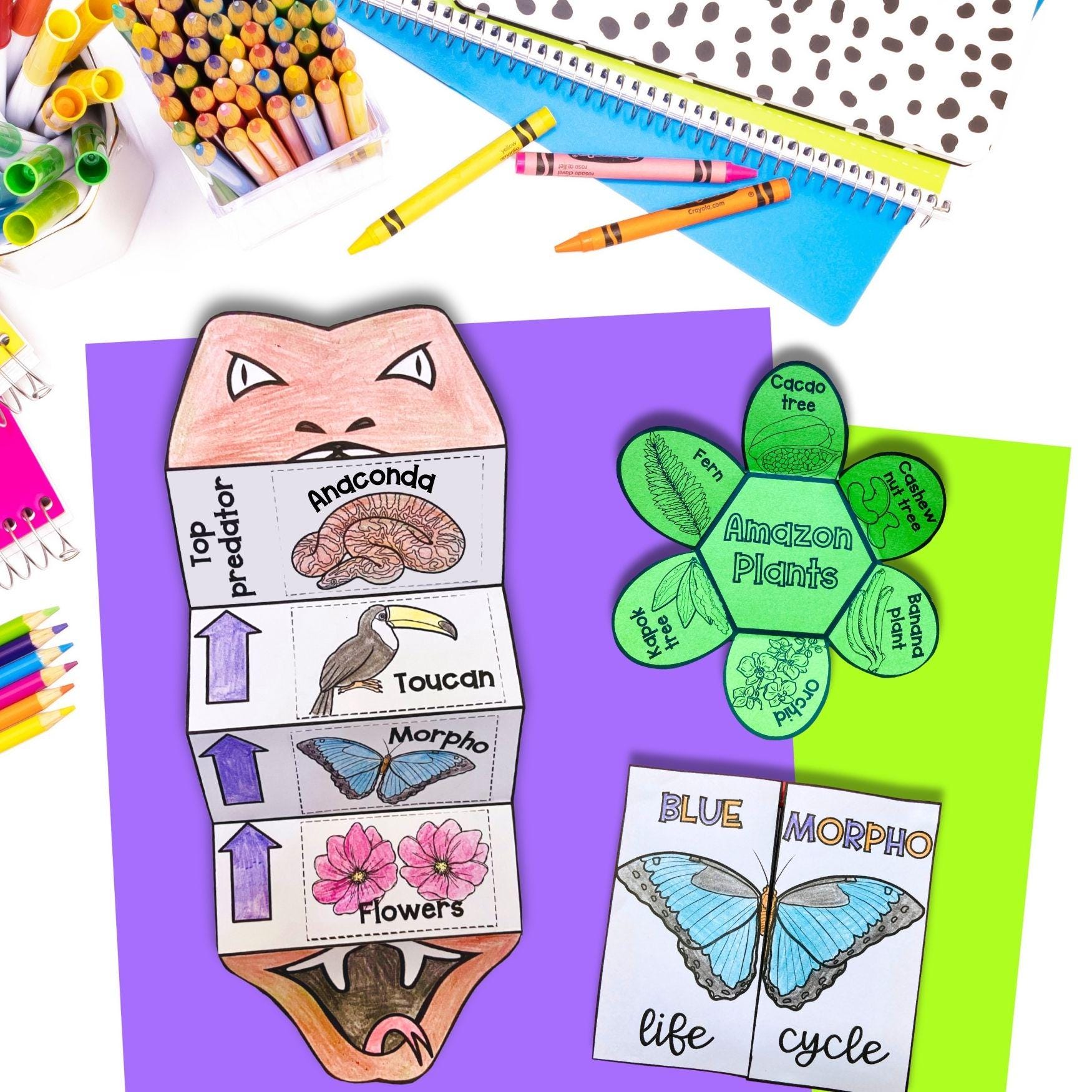 Amazon Lapbook Foldable Printable Templates | Digital Download | Kids ...