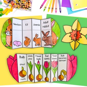 Easter Life Cycles Foldable Sequencing Activities for Kids | PDF ...