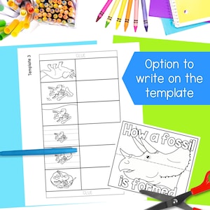 How a Fossil is Formed Foldable Sequencing Activity PDF for Dinosaur and Ammonite Fossils Kids ...