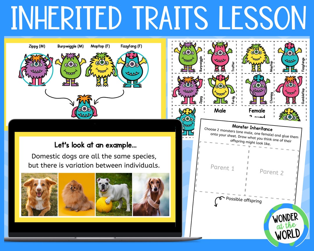 Inherited Traits Characteristics Presentation And Activity Elementary Primary Science Powerpoint