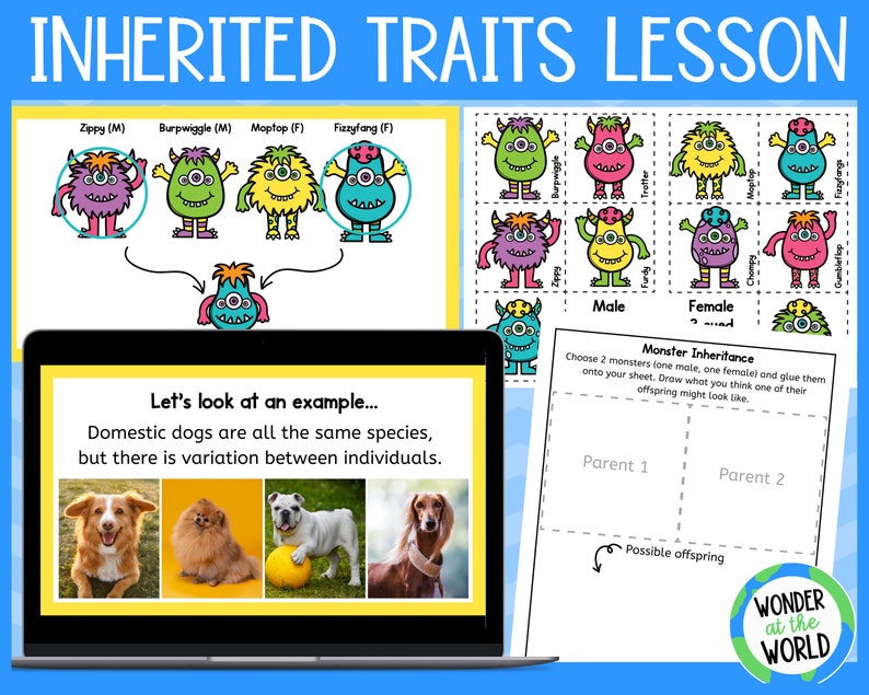 Inherited Traits Characteristics Presentation and Activity | Elementary ...