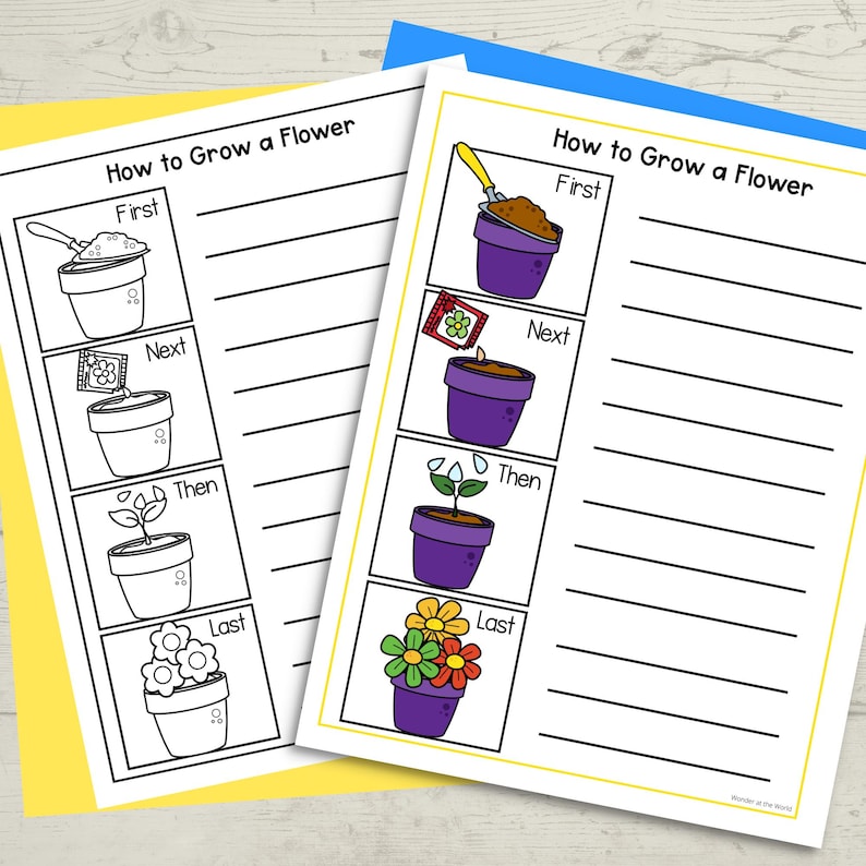 Parts of a Plant and How to Grow a Flower Seed Science Craft Activities ...