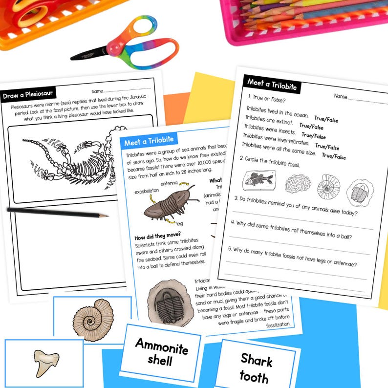 Fossils Printable Activities Worksheets Lesson for Third Fourth Grade ...