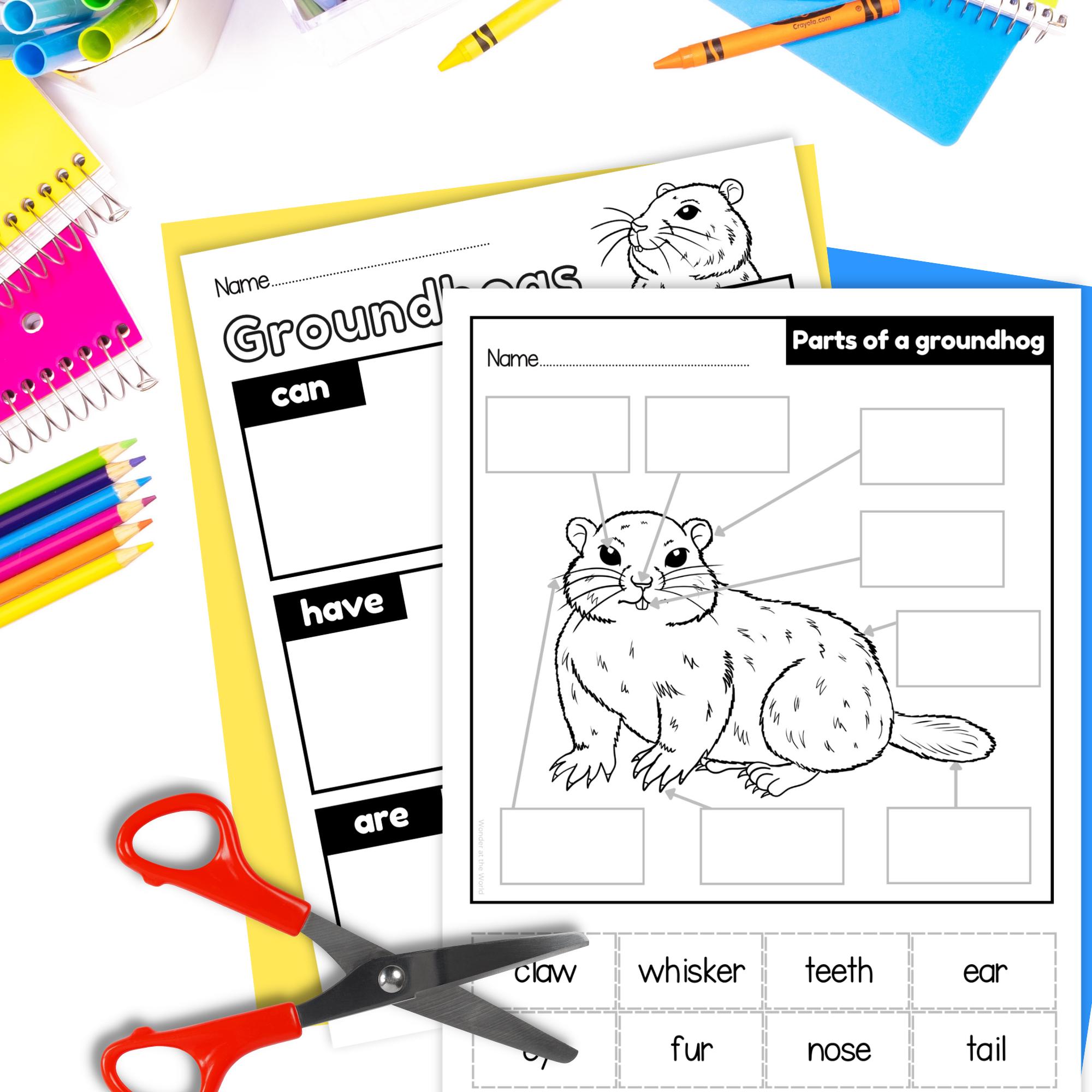 Groundhog Life Cycle Foldable Sequencing Activity Cut and Paste ...