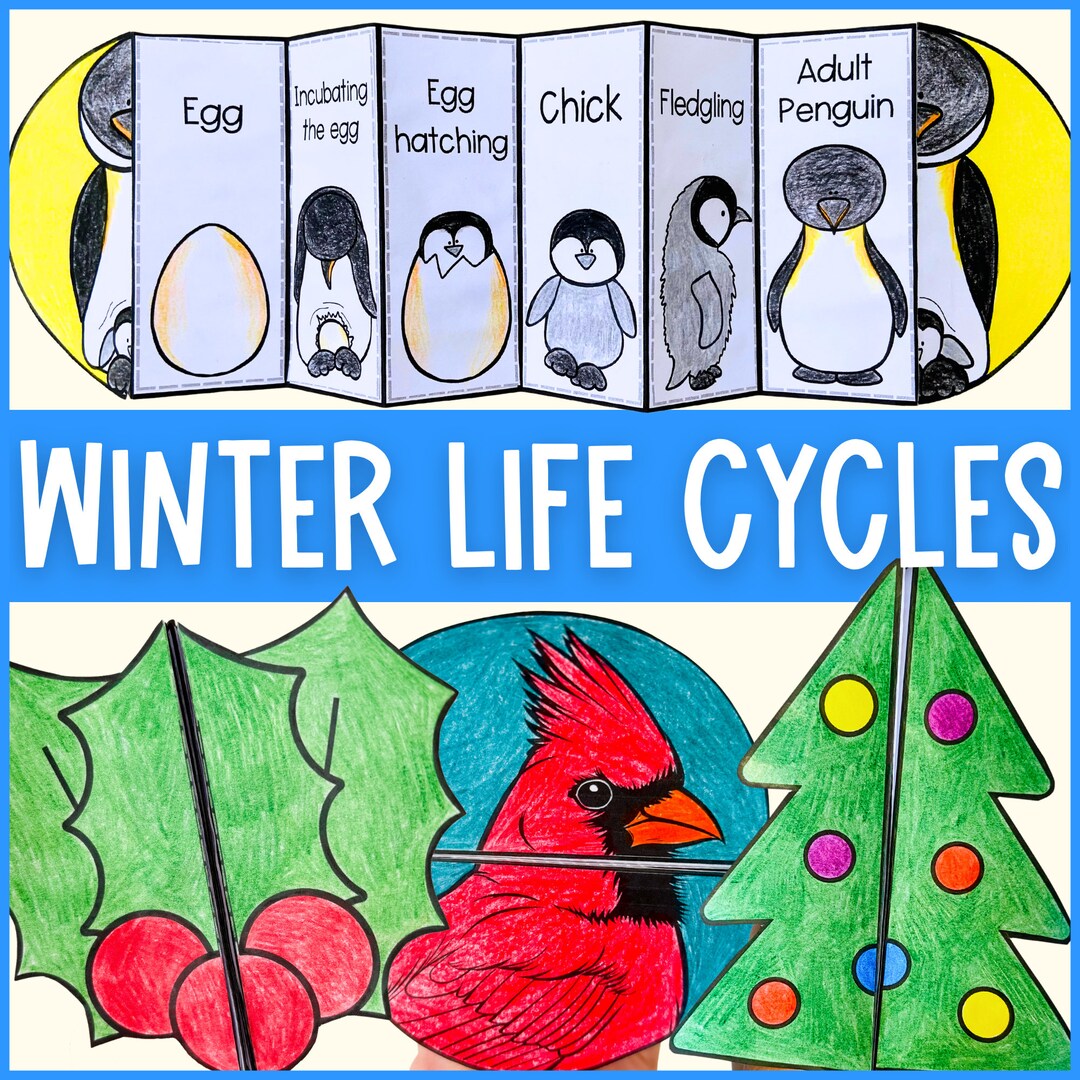 Winter Plant and Animal Life Cycles Cut and Paste Foldable Sequencing ...