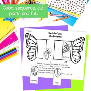 Life Cycle of a Butterfly Sequence and Fold Kids' Science Craft | A4 ...