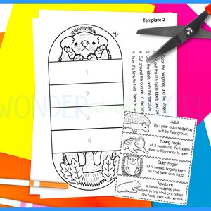Hedgehog Life Cycle Foldable Activity for Kids | 8.5x11 Inch and A4 ...