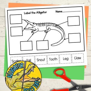 Life Cycle of an Alligator Foldable Sequencing Activity Printable PDF ...