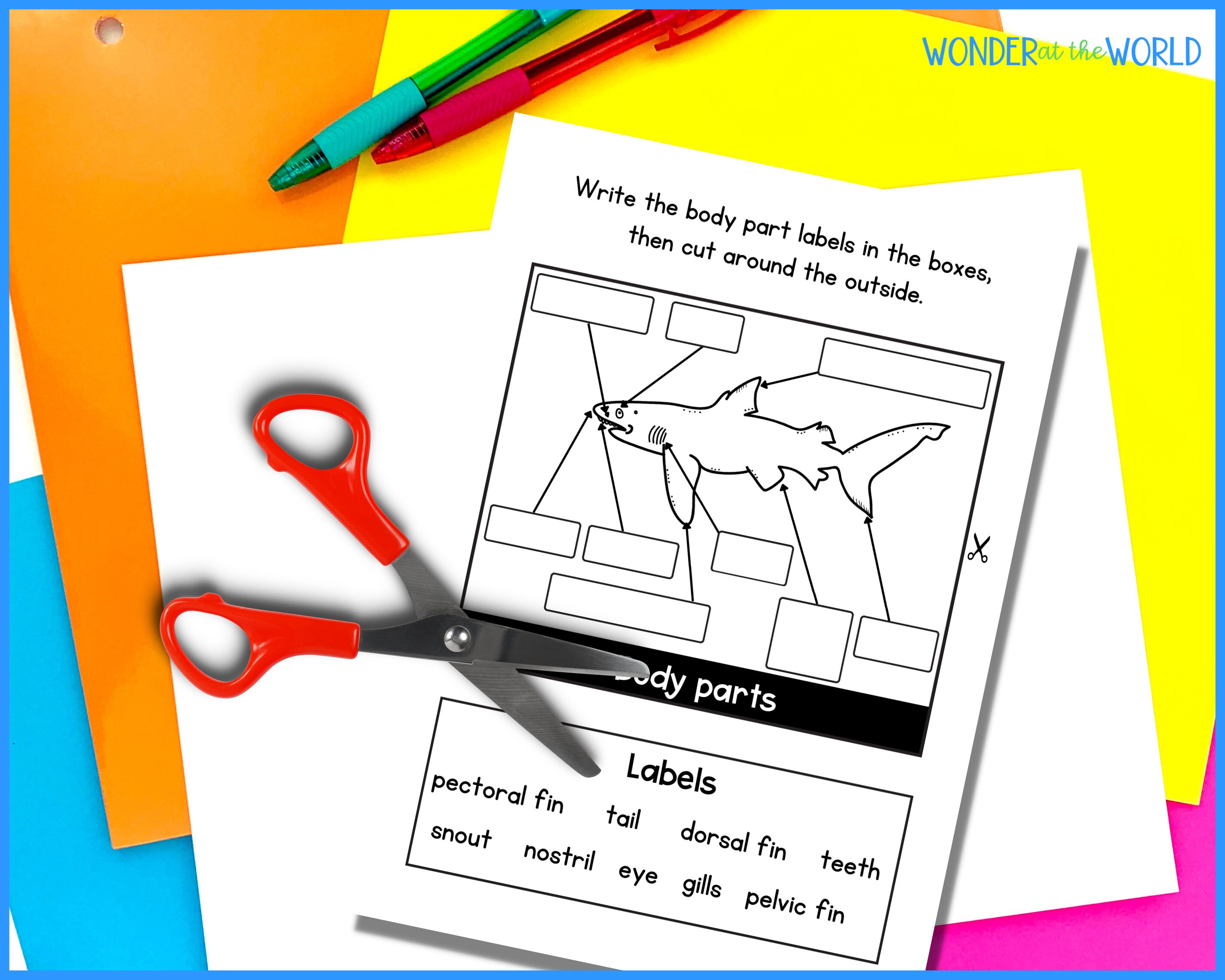 Shark Science Lapbook Printable Templates | Digital Download | A4 and ...