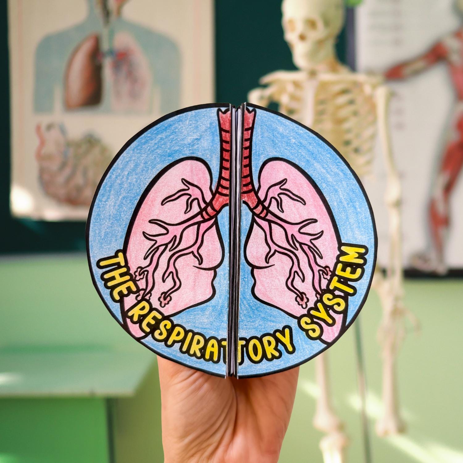 The Respiratory System Human Body Cut and Paste Sequencing Activity and ...