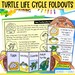 Fall Autumn Plant Life Cycles Foldable Science Activities | Apple ...