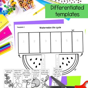 Life Cycle of a Watermelon Plant Sequence and Fold Kids' Craft | A4 and ...
