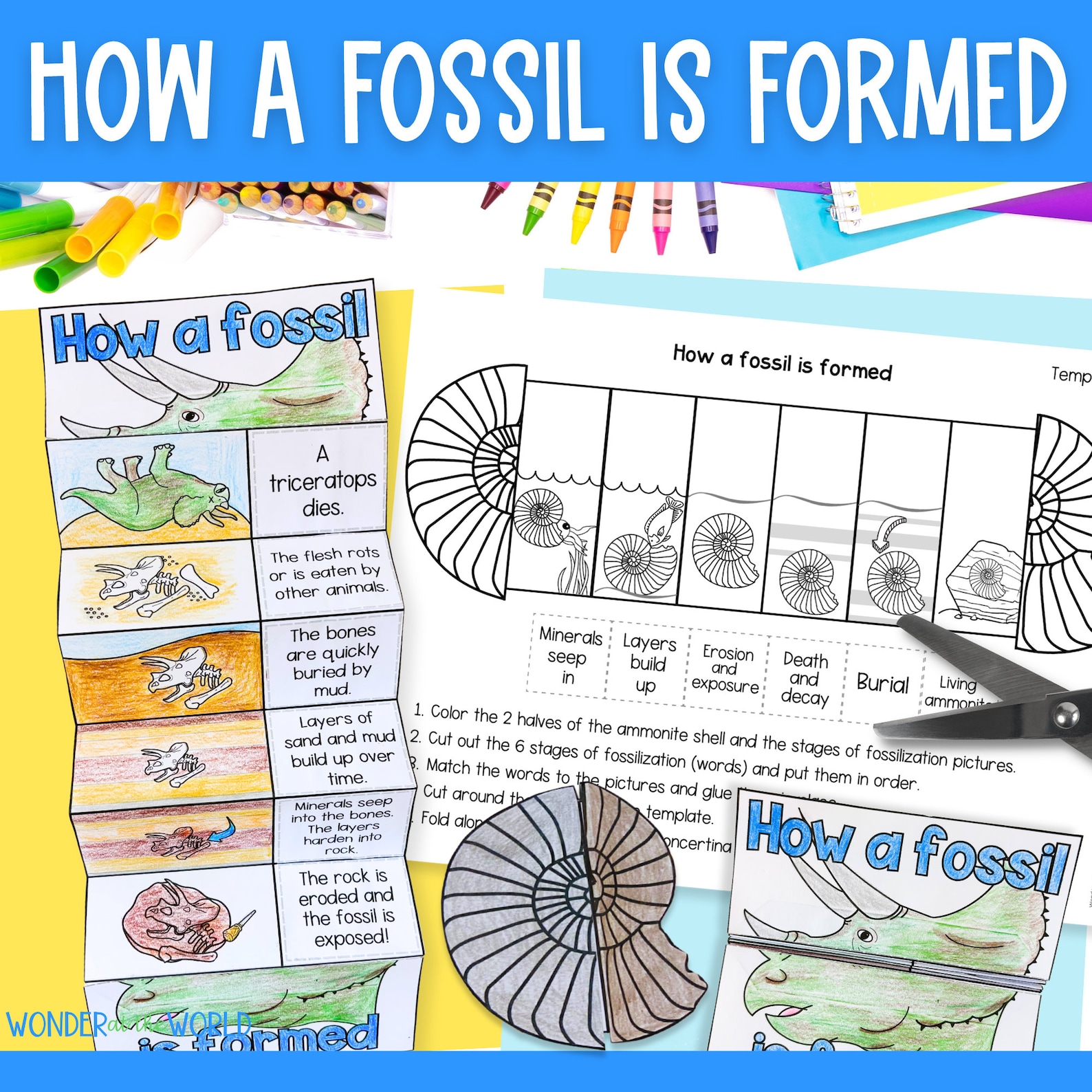 How a Fossil is Formed Foldable Sequencing Activity PDF for Dinosaur ...