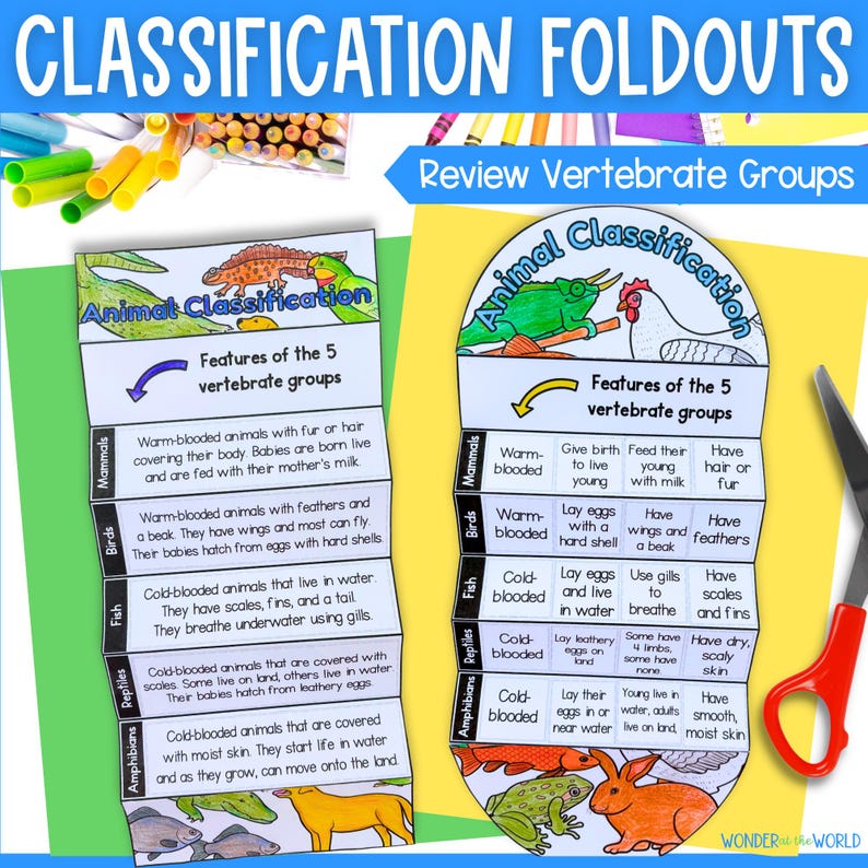 Animal Classification Foldout Science Activity to Review Features of ...