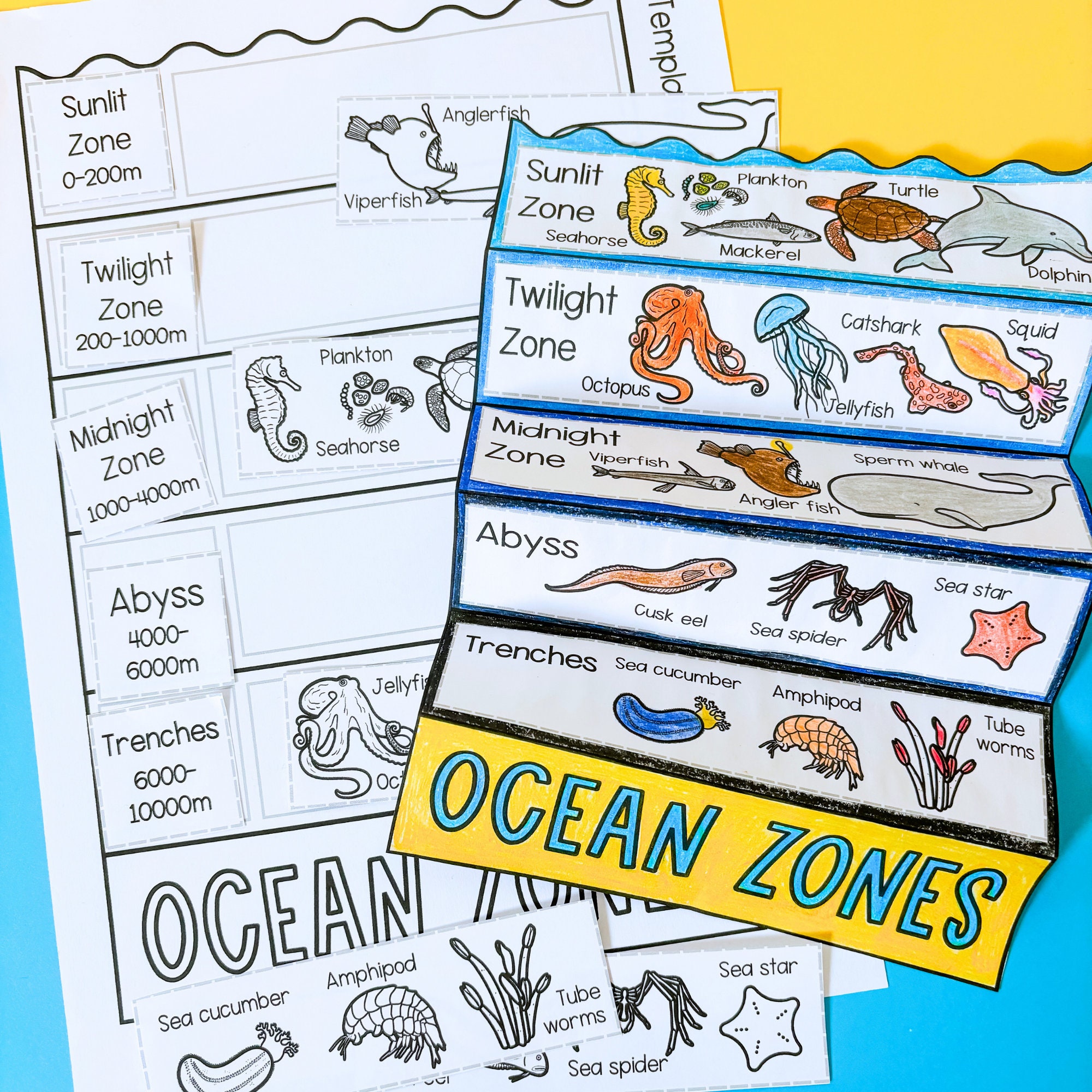 Ocean Zones Lesson With Slideshow Introduction and Foldable Activity ...