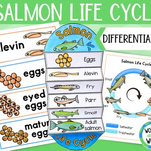 Life Cycle of a Salmon Fish Foldable Science Activity and Vocabulary ...