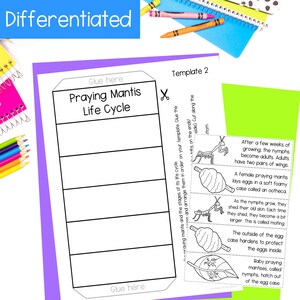 Life Cycle of a Praying Mantis Insect Foldable Sequencing Activity Cut ...