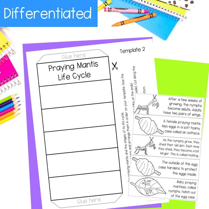 Life Cycle of a Praying Mantis Insect Foldable Sequencing Activity Cut ...