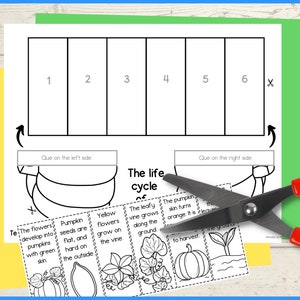 Plants Life Cycles Foldable Science Activities | Apple Pumpkin ...