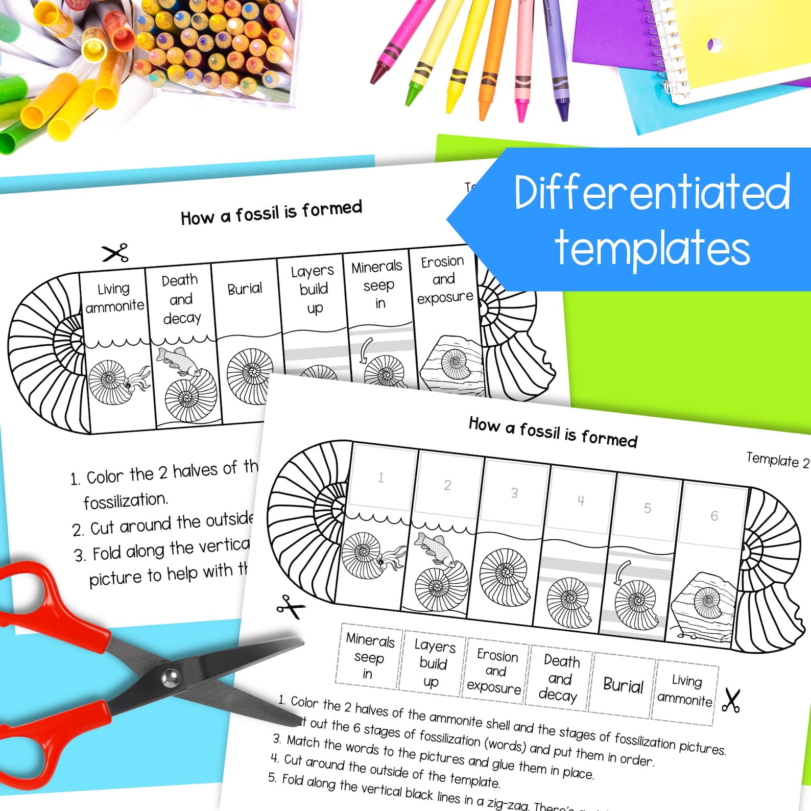 How a Fossil is Formed Printable Craft Activity and Sequencing Cards ...