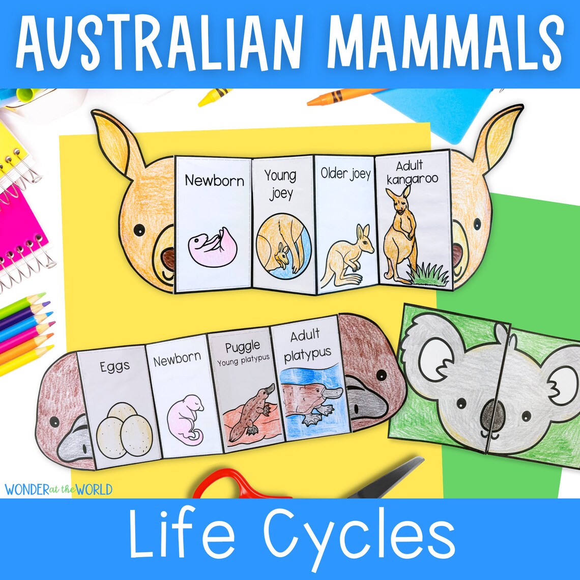 Australian Animals Mammals Life Cycle Foldout Science Learning ...