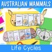Life Cycle of a Mallard Duck Foldable Sequencing Activity for Kids US ...