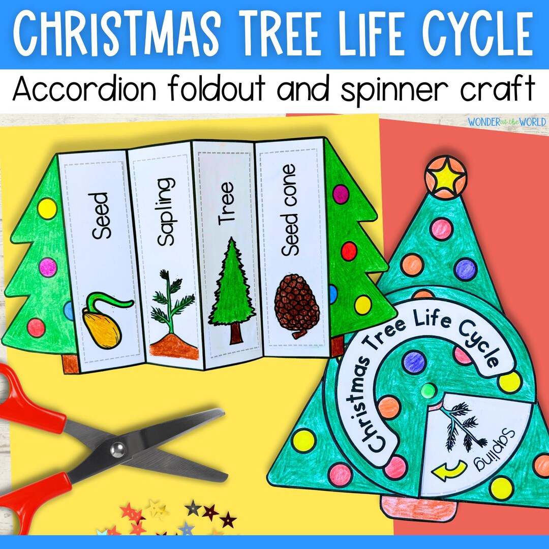 Life Cycle of a Coniferous Christmas Tree Foldout and Spinner Craft ...