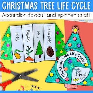 Life Cycle of a Coniferous Christmas Tree Foldout and Spinner Craft ...