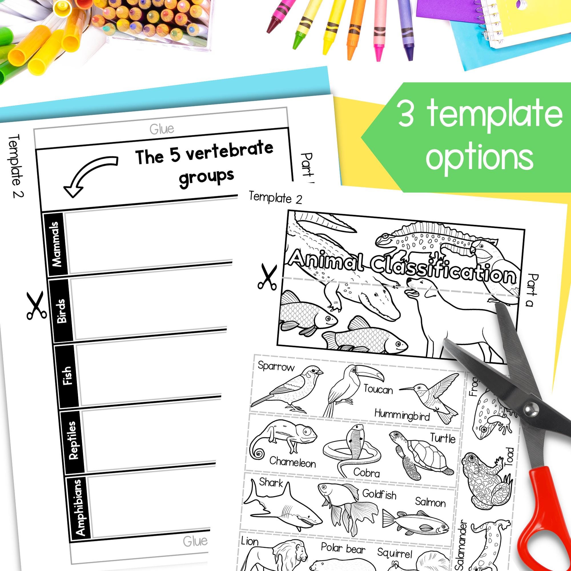 Animal Classification Sort Cut and Paste Foldout Activity for 5 ...