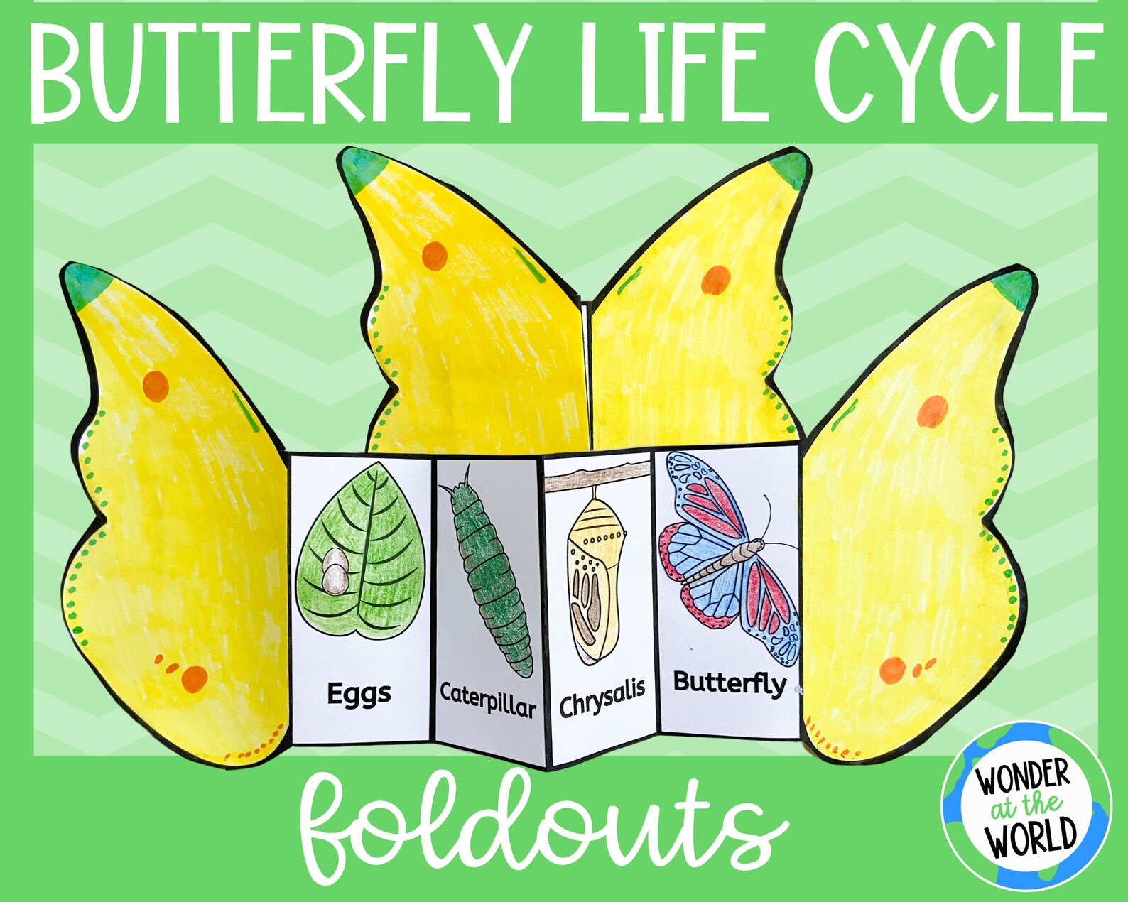 Life Cycle of a Butterfly Foldable Kids' Craft A4 and - Etsy UK