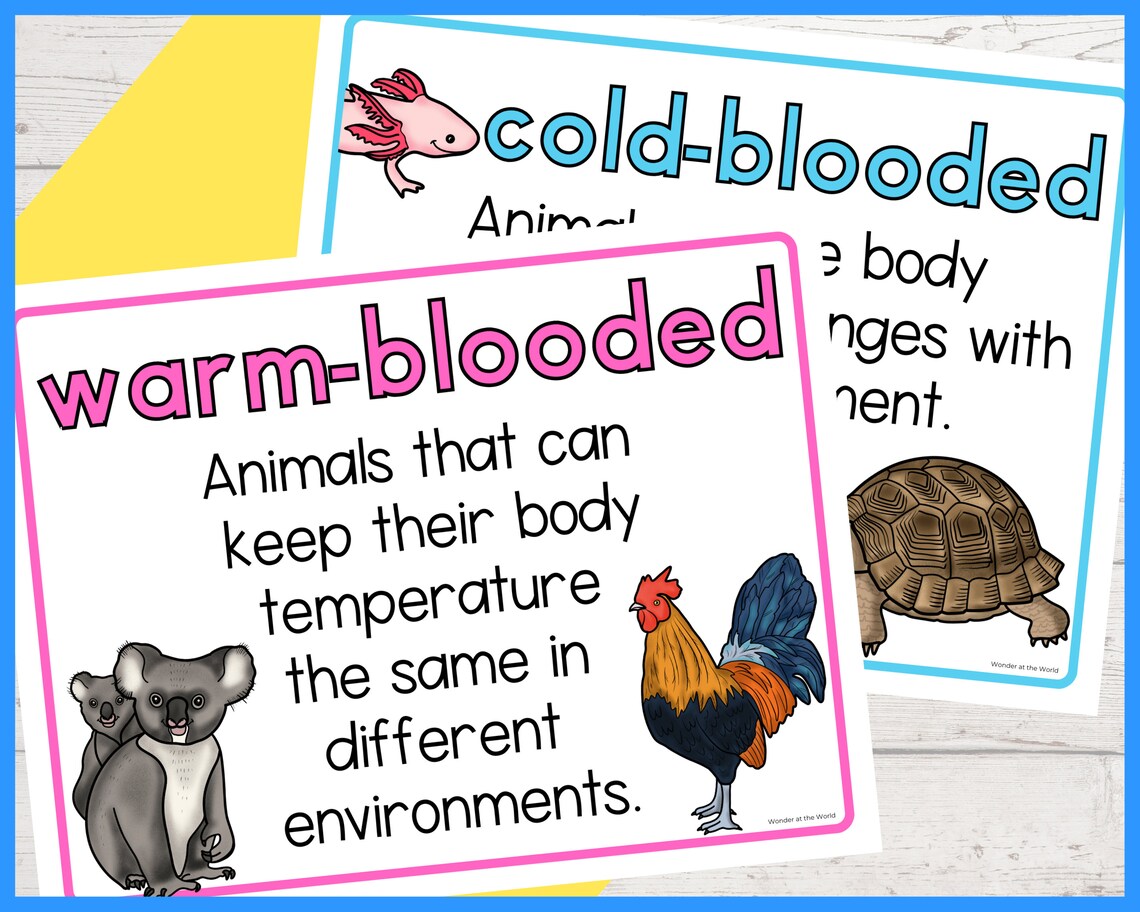 Vertebrate Animal Classification Science Vocabulary Word Wall UK and US ...